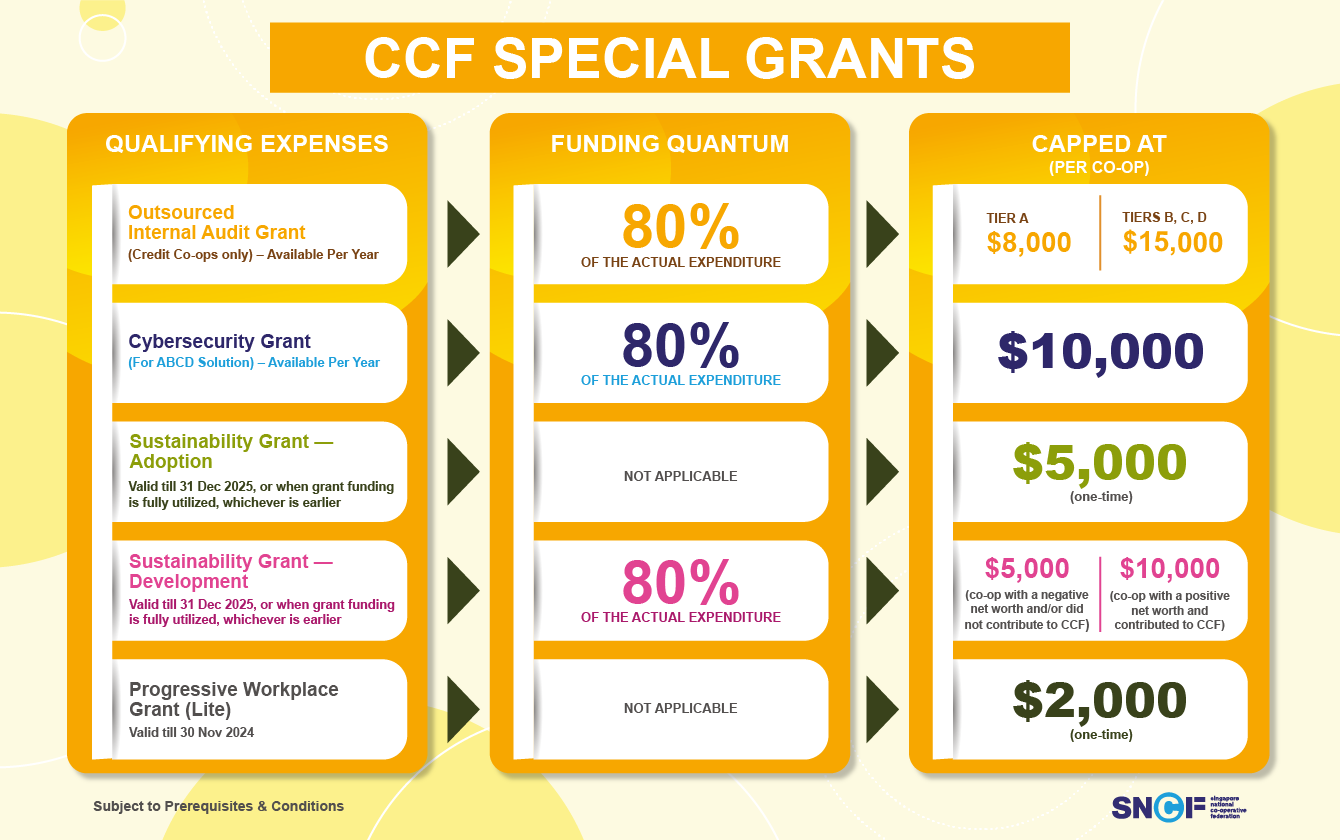 CCF Special Grants